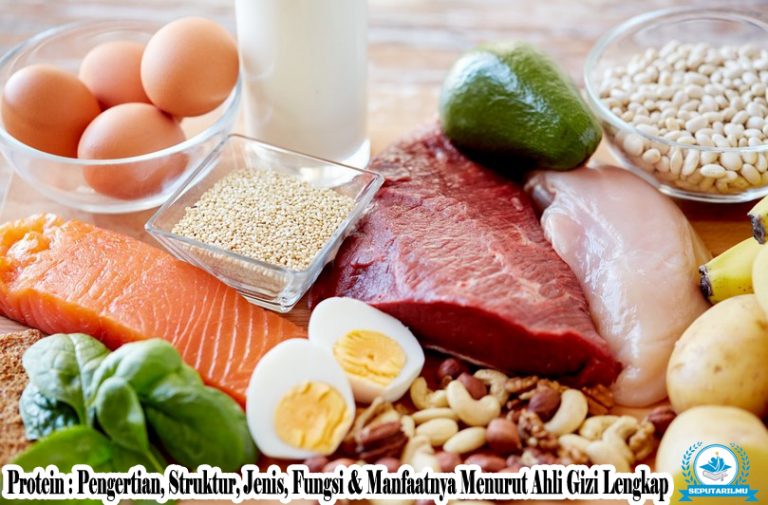 Pengertian Protein : Fungsi, Sumber, Struktur, Jenis & Manfaatnya
