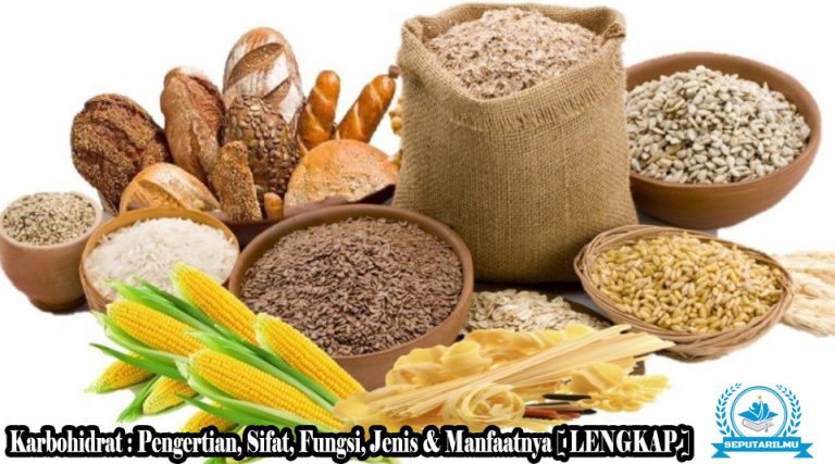 Pengertian Karbohidrat : Sifat, Fungsi, Manfaat, Jenis & Contoh